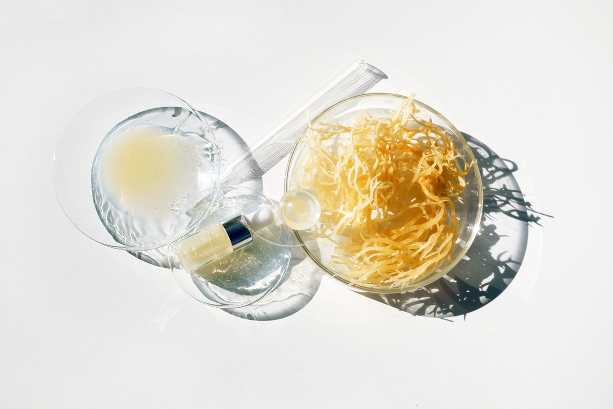 Find Your Balance With Native Sun Companies' Wellness Products